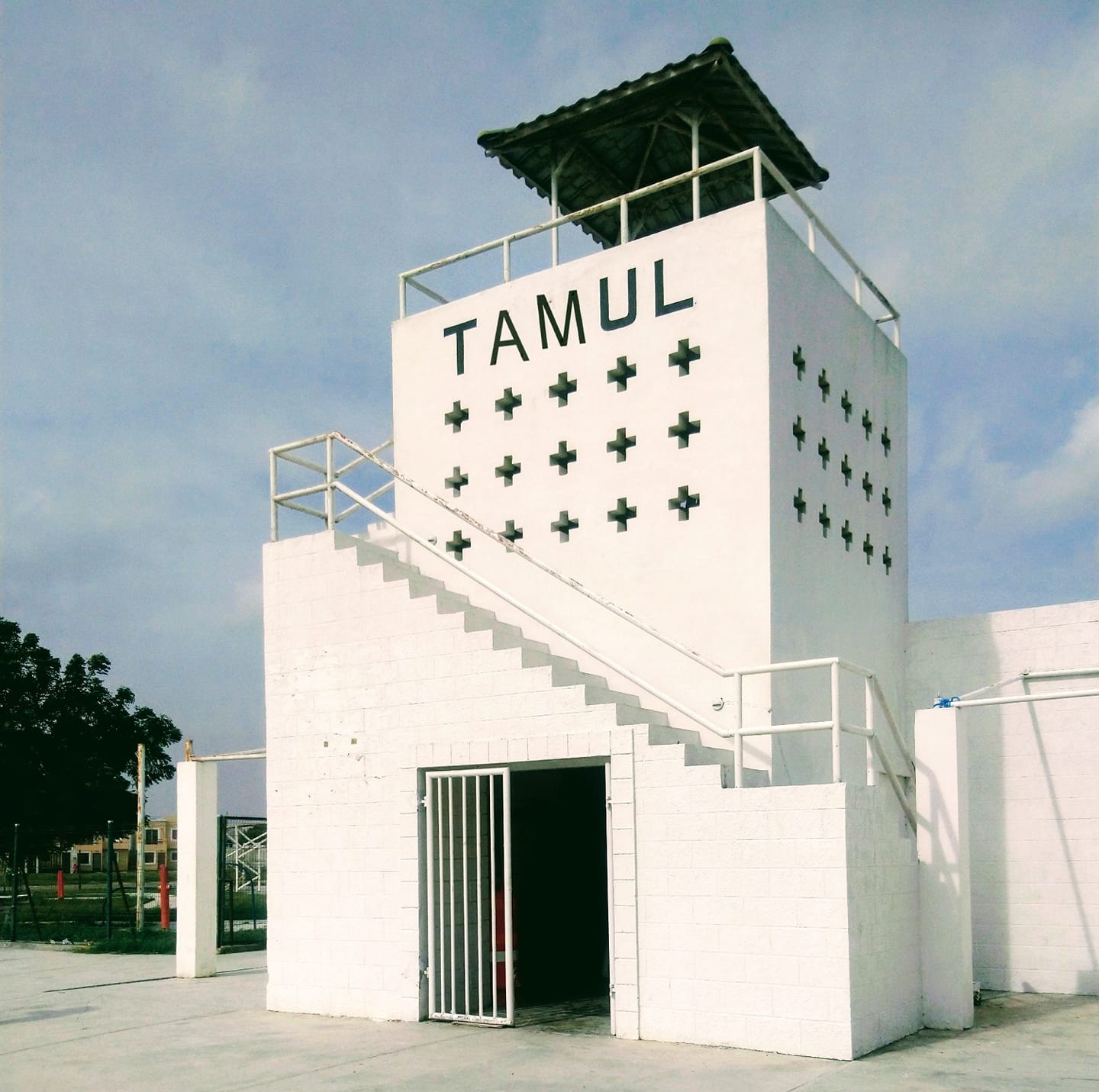 Tamul La Joya : Bibliotecas DGB México : Sistema de Información ...