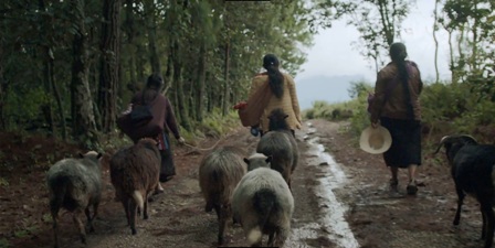 Formas de atravesar un territorio/Ways to traverse a territory ...